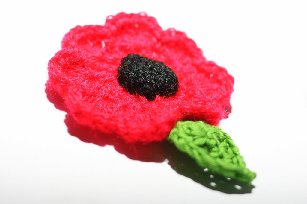 Poppy Knitters – We Need You! - Baa Baa Brighouse Poppy Knitters – We Need You! - Baa Baa Brighouse